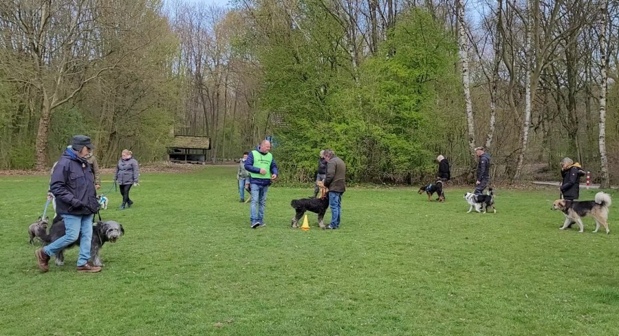 Thomas Strunk- Hundetrainer - Qualifikationen